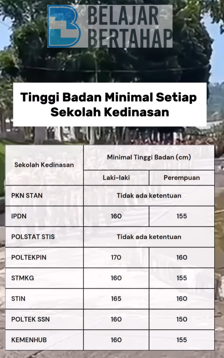 Syarat Tinggi Badan Minimal Masing-Masing Sekolah Kedinasan 2025: Panduan Lengkap - Belajar Bertahap